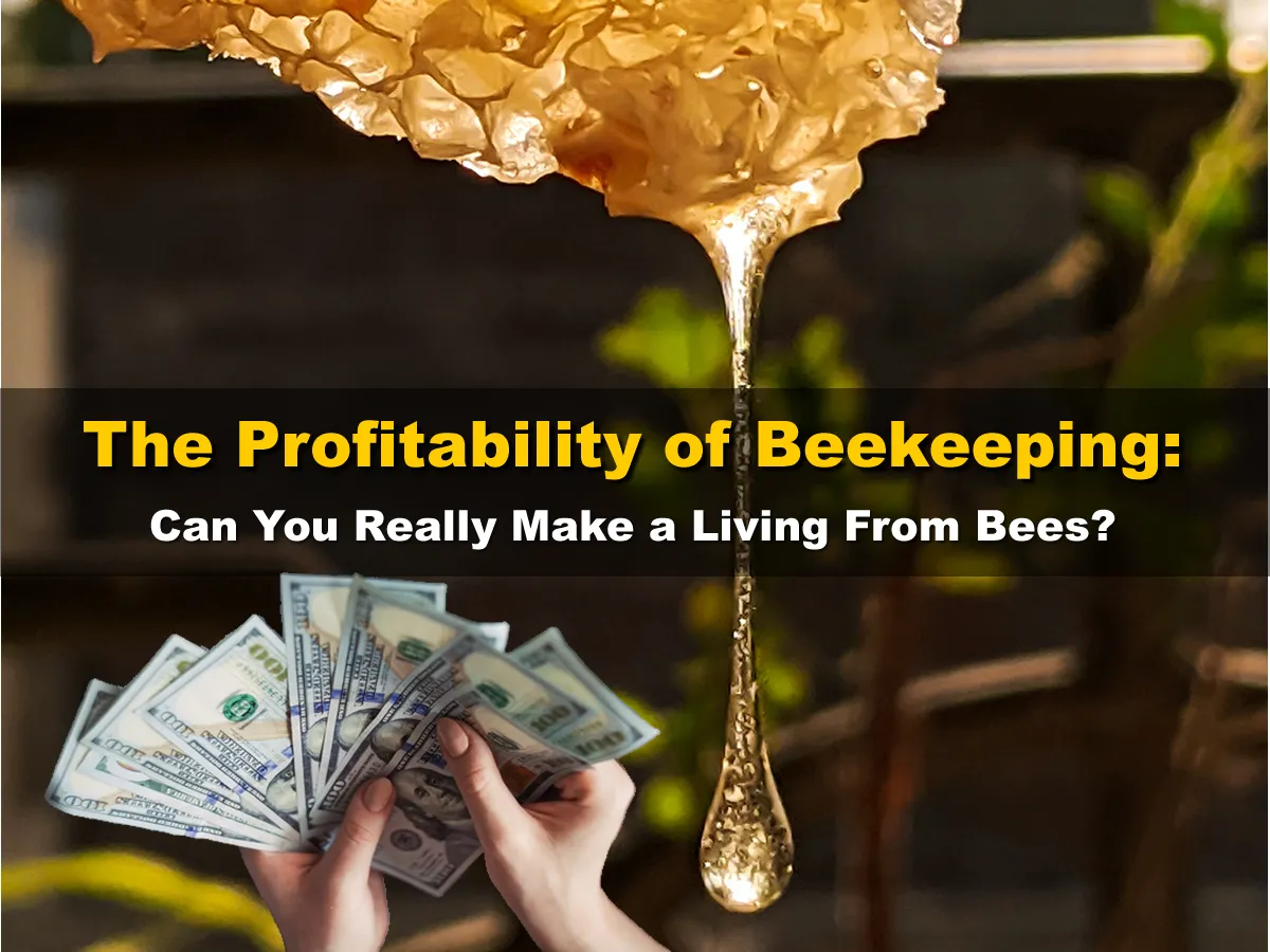 The Profitability of Beekeeping: Can You Really Make a Living From Bees ...