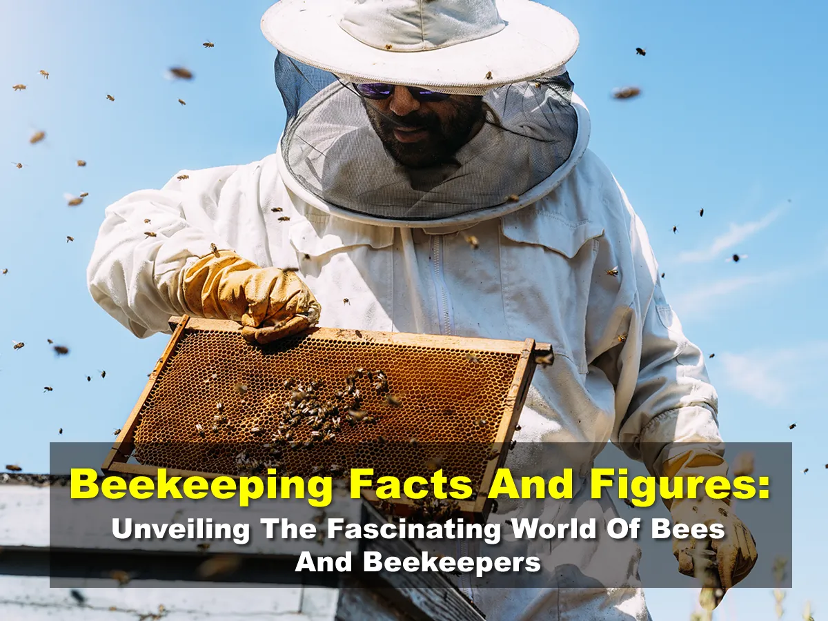 Beekeeping Facts And Figures: Unveiling The Fascinating World Of Bees ...
