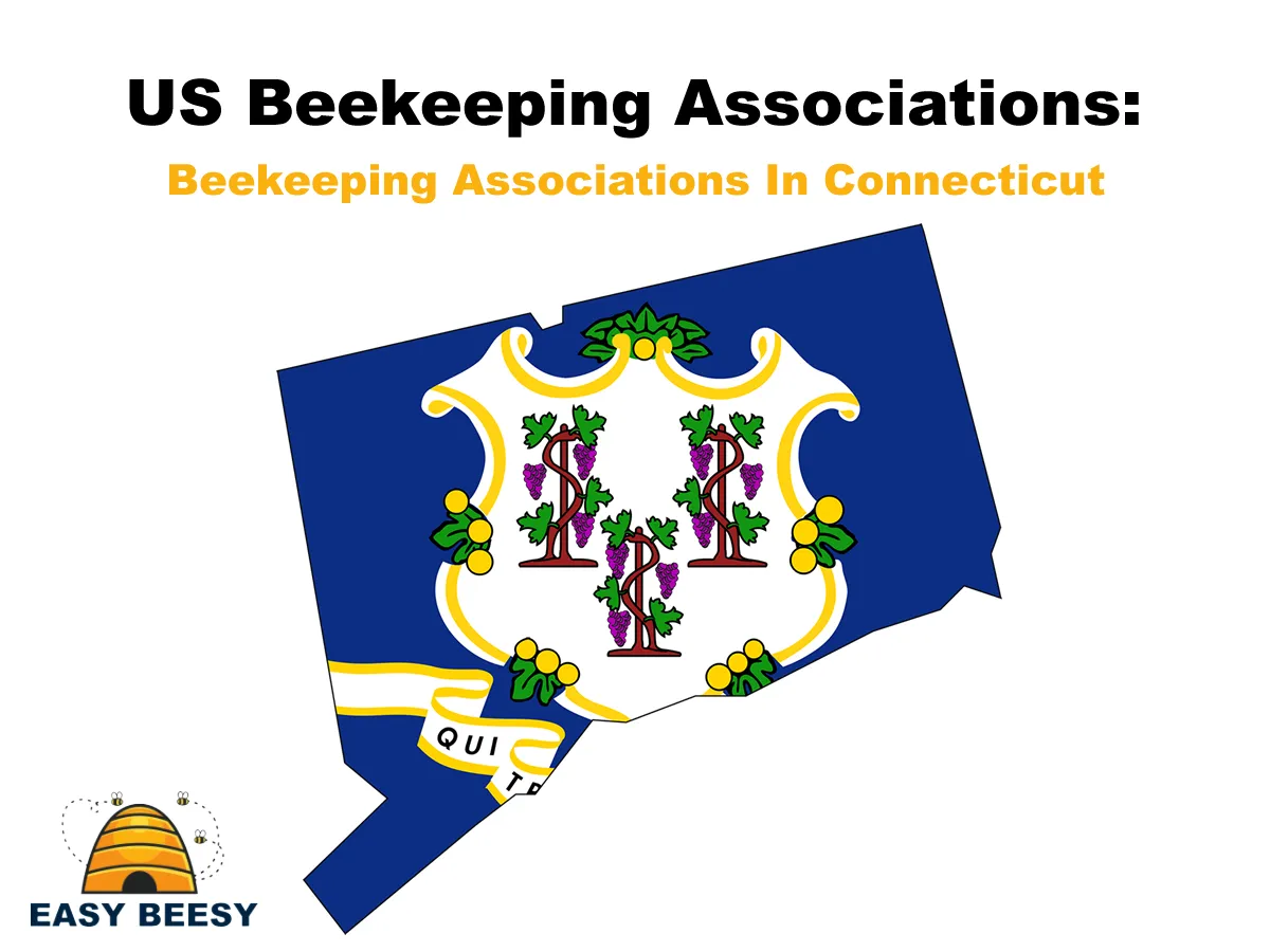 US Beekeeping Associations: Beekeeping Associations In Connecticut ...