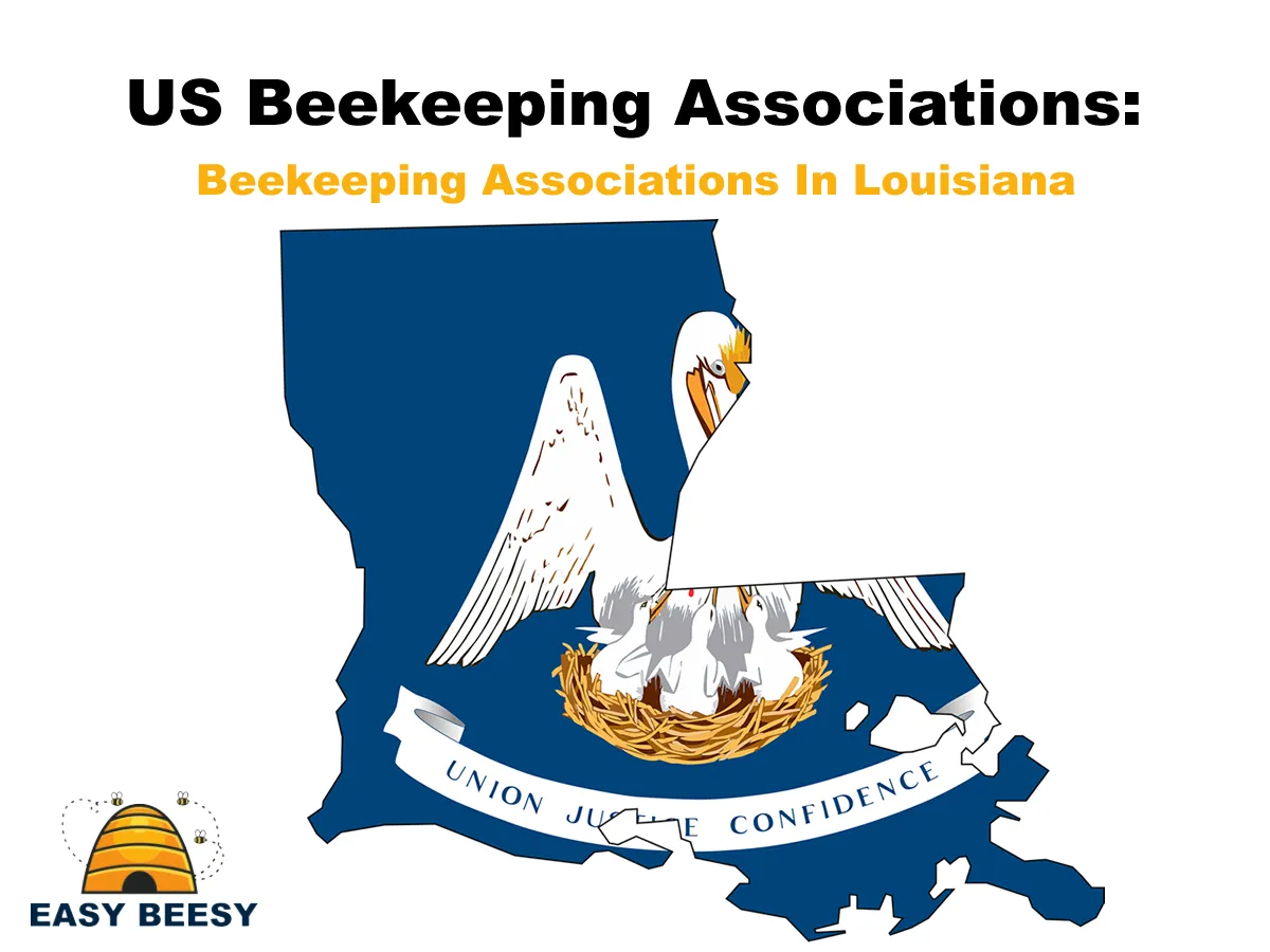 US Beekeeping Associations: Beekeeping Associations In Louisiana - Easy ...