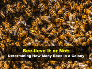 Beekeeping Basics: How To Start A Bee Colony Successfully - Easy-Beesy.com