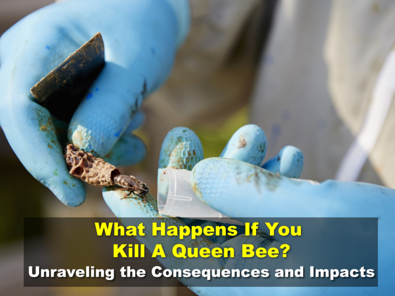 What Happens If You Kill A Queen Bee? Unraveling the Consequences and ...