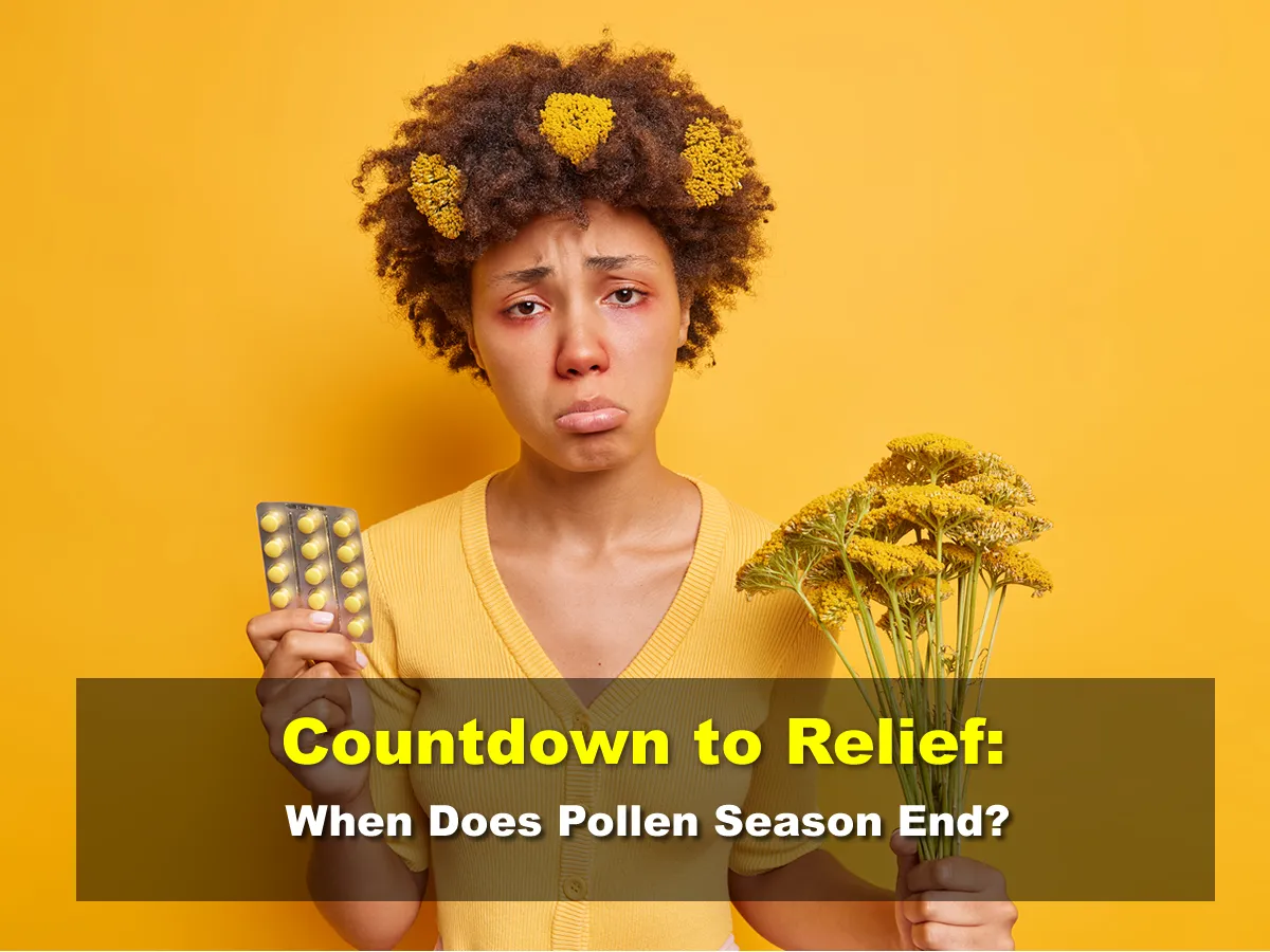 Countdown to Relief: When Does Pollen Season End? - Easy-Beesy.com